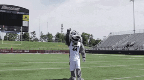 Siu GIF by SIUSalukis - Find & Share on GIPHY