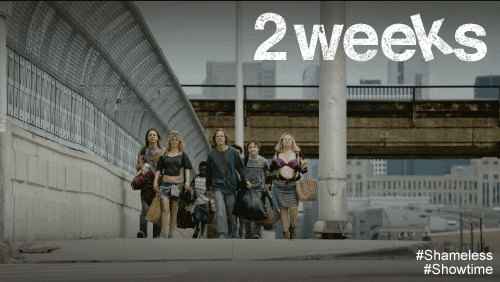 GIF by Showtime - Find & Share on GIPHY