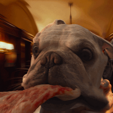 Dog Spinning GIF by 20th Century Fox Home Entertainment - Find & Share ...