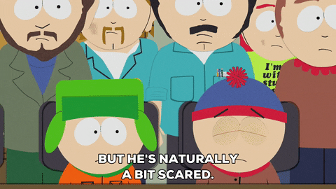 Stan Marsh Shock GIF by South Park - Find & Share on GIPHY