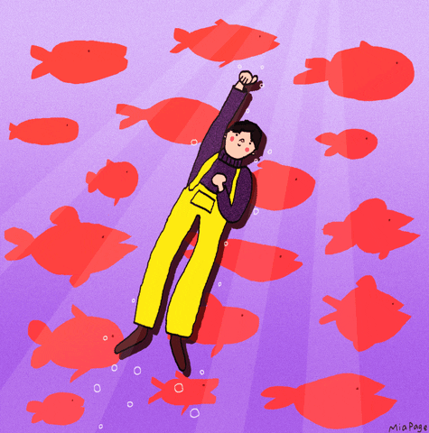 Fishermans Wharf Swimming GIF by Mia Page - Find & Share on GIPHY