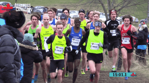 New Balance Running GIF by RunnerSpace.com - Find & Share on GIPHY