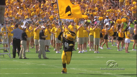 Hawkeye Football GIF by University of Iowa Hawkeyes Athletics - Find ...