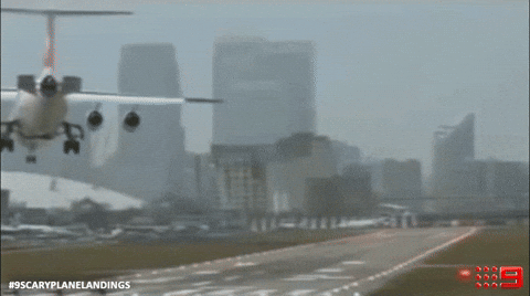 - Find & Share on GIPHY