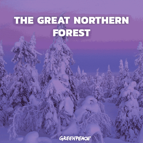 Greenpeace GIF - Find & Share on GIPHY