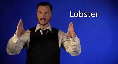 Sign Language Lobster GIF by Sign with Robert - Find & Share on GIPHY