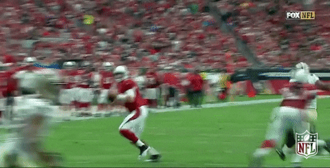 Arizona Cardinals Football GIF by NFL - Find & Share on GIPHY