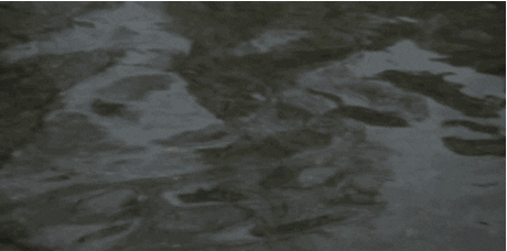 Water River GIF by Charles Pieper - Find & Share on GIPHY