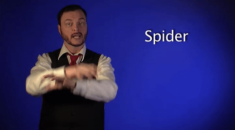 Sign Language Spider GIF by Sign with Robert - Find & Share on GIPHY