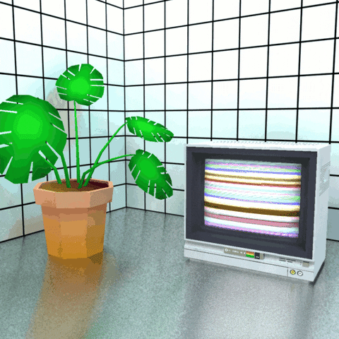 Still Life Plant GIF by jjjjjohn - Find & Share on GIPHY