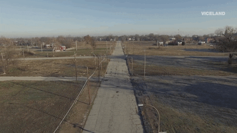 Viceland GIF by ABANDONED - Find & Share on GIPHY