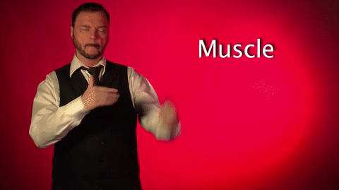 Sign Language Muscle GIF by Sign with Robert - Find & Share on GIPHY