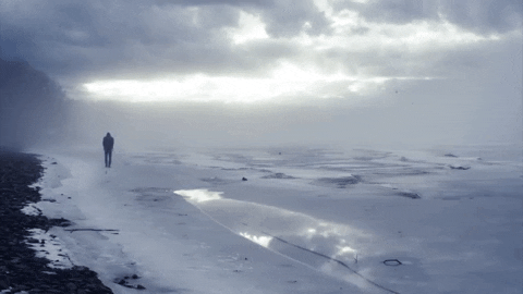 Snow Winter GIF by Polyvinyl Records - Find & Share on GIPHY