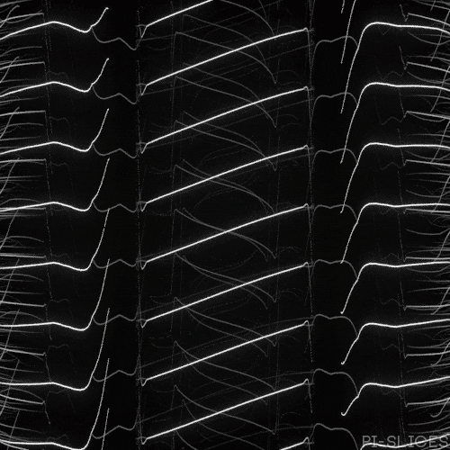 Black And White Wave GIF by Pi-Slices - Find & Share on GIPHY