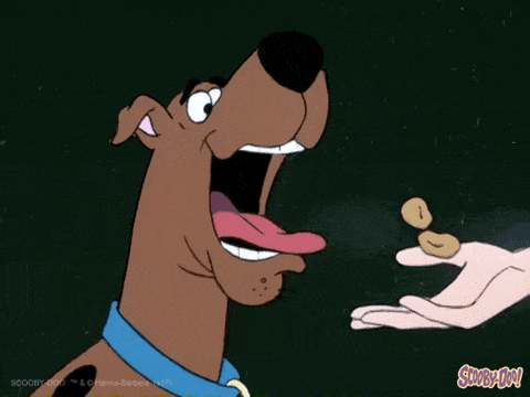 Happy Dog GIF by Scooby-Doo - Find & Share on GIPHY