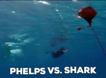Shark Week GIF by Discovery - Find & Share on GIPHY