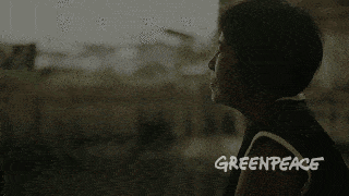 Greenpeace GIF - Find & Share on GIPHY