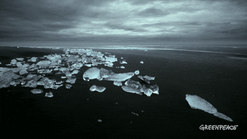 Greenpeace GIF - Find & Share on GIPHY