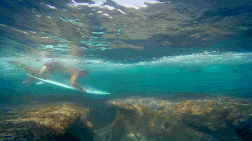 Wave Surf GIF by Red Bull - Find & Share on GIPHY