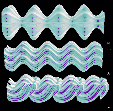 Amtggg Sinus Shapes Wave Geometrie GIF by A.M.T.G. G.G. - Find & Share ...