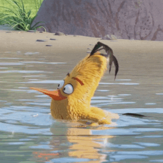 Sony Pictures Trailer GIF by Angry Birds - Find & Share on GIPHY