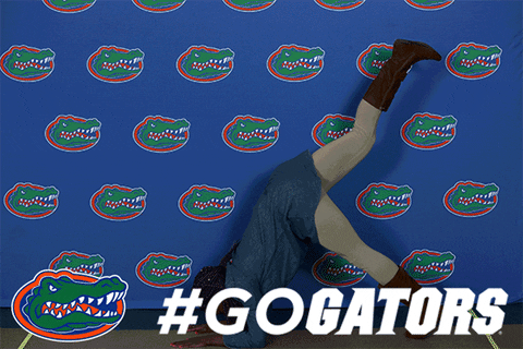 Gator Chomp Gif