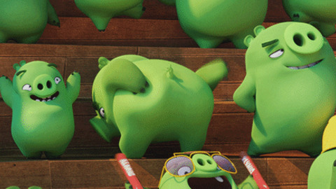 Angry Birds GIF - Find & Share on GIPHY