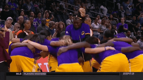 WNBA GIF - Find & Share on GIPHY