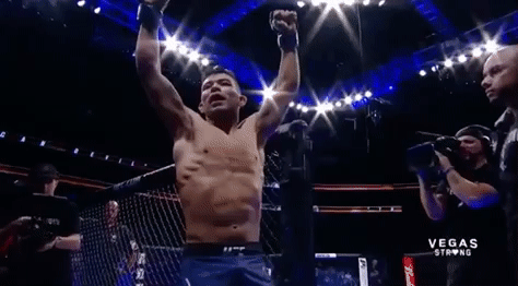 UFC GIF - Find & Share on GIPHY