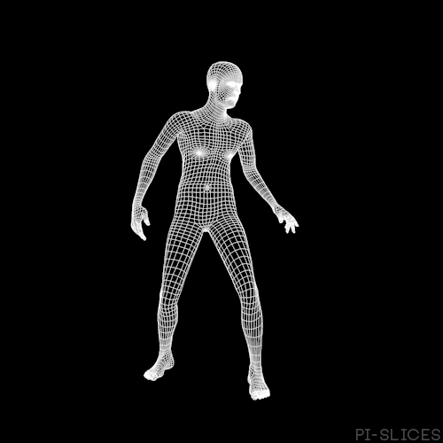 Human Anatomy Gif at Miguel Arnold blog