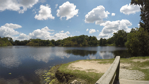 Clouds Lake GIF by University of Florida - Find & Share on GIPHY