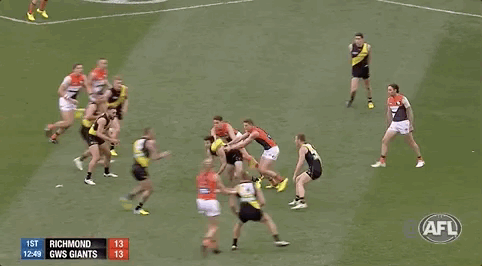 Aussie Rules Finals GIF by AFL - Find & Share on GIPHY