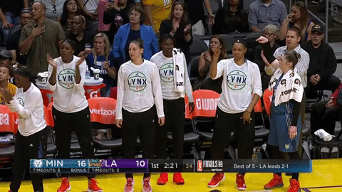 WNBA GIF - Find & Share on GIPHY