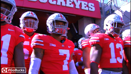 Ncaa Sports GIF by Ohio State Athletics - Find & Share on GIPHY