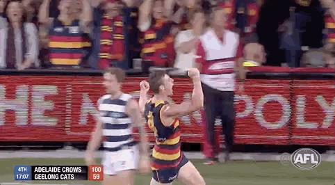 Aussie Rules Finals GIF by AFL - Find & Share on GIPHY