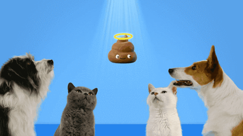 Meet Poopsie, The Animated Poop Mascot Your Pet Can Create Themselves ...