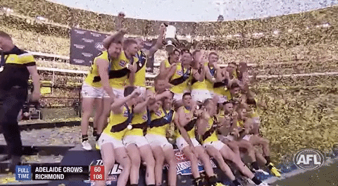 Aussie Rules GIF by AFL - Find & Share on GIPHY