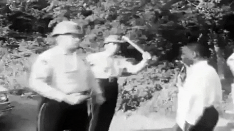 New York Film Festival Police GIF by Film Society of Lincoln Center ...