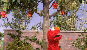 Super Grover Elmo GIF by Sesame Street - Find & Share on GIPHY