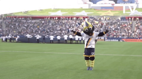 Fans Supporters GIF by LA Galaxy - Find & Share on GIPHY
