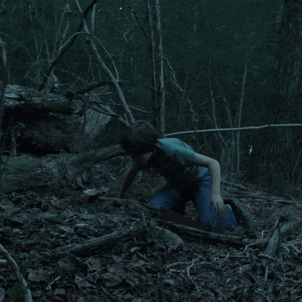 Ozark GIF by NETFLIX - Find & Share on GIPHY