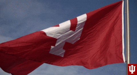 Indiana Hoosiers Flag GIF by Indiana Athletics - Find & Share on GIPHY
