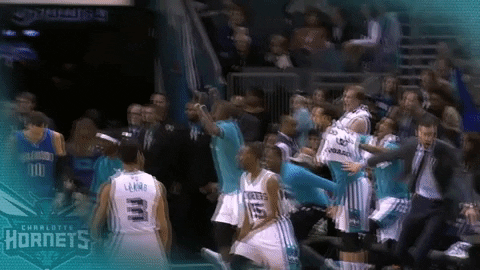 Charlotte Hornets Bench Celebration GIF by NBA - Find & Share on GIPHY