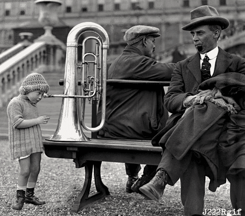 joelremygif GIF - Find & Share on GIPHY