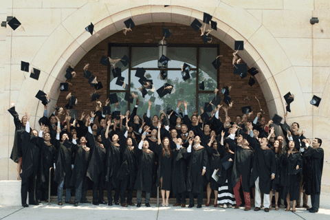 - Find & Share on GIPHY