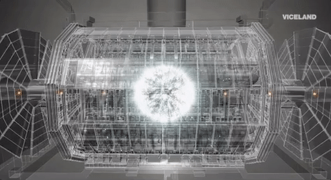 Viceland GIF by Motherboard - Find & Share on GIPHY