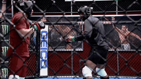 The Ultimate Fighter Redemption GIF - Find & Share on GIPHY