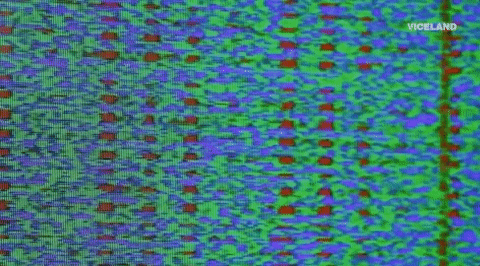 Viceland GIF by Motherboard - Find & Share on GIPHY