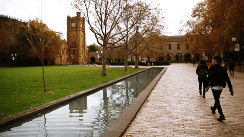 - Find & Share on GIPHY