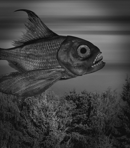 Colin Raff GIF - Find & Share on GIPHY